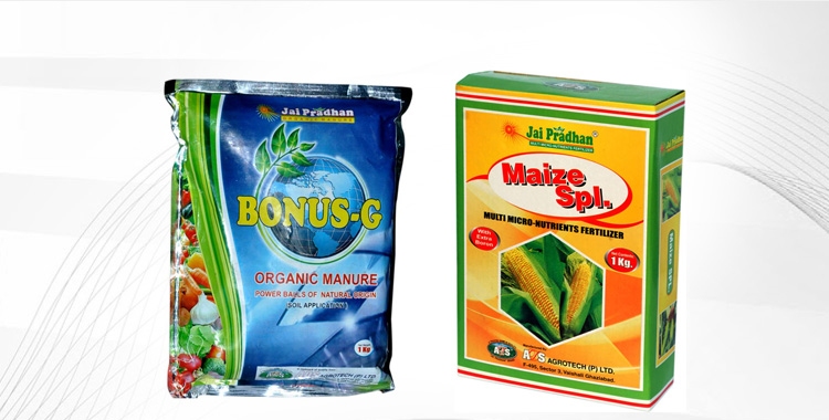Agro Seeds,Paddy Seeds,Wheat Seeds Manufacturers in Uttar Pradesh,India