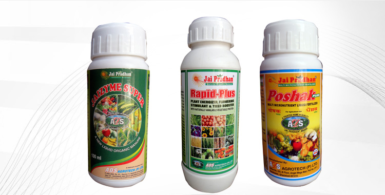 Agro Seeds,Paddy Seeds,Wheat Seeds Manufacturers in Uttar Pradesh,India