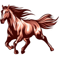 Nagma Industries Pvt. Ltd. Mumbai - Imported Mens Leather Jacket ...