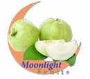 Moonlight Fruits South 24 Parganas - Fresh Green Guava Manufacturer and ...