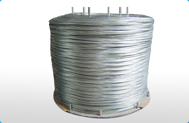 Contact to Steelex-india for Galvanized Iron Coils Suppliers