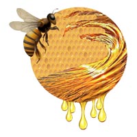 YMK Golden Ocean Food Industries Pvt Ltd Moradabad - 20 Gm Natural ...