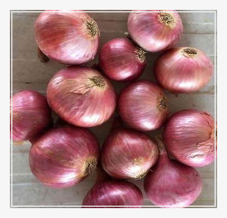 Farm Fresh Onions,Fresh Pink Onion,Fresh Brown Onion Suppliers