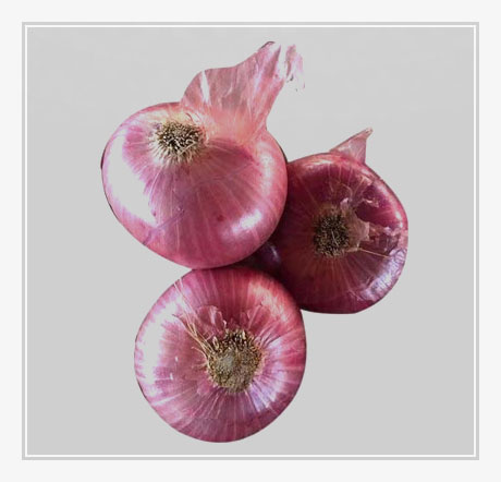 Farm Fresh Onions,Fresh Pink Onion,Fresh Brown Onion Suppliers