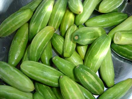 Fresh Tindora,Farm Fresh Tindora,Tindora Vegetable Exporters from India