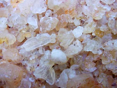 Gum karaya - Alchetron, The Free Social Encyclopedia