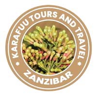 Karafuu Tours and Travel - Tour Operators in Zanzibar,Hotel Booking Tanzania