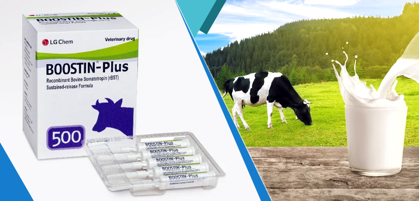 Top 10 HR Training agencies in Bangalore - Career Choice Solution Blogs 1